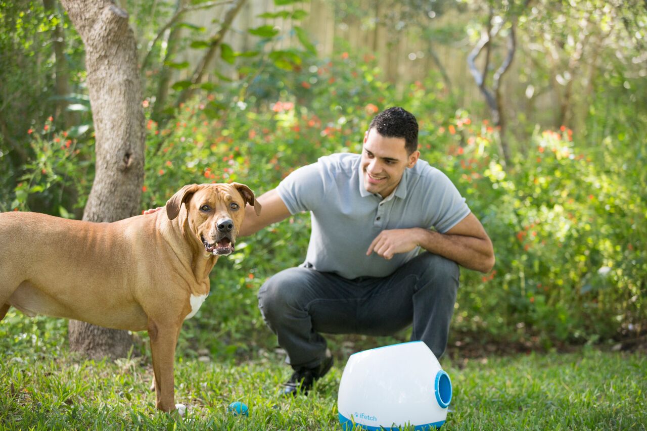 The iFetch Just Got Bigger